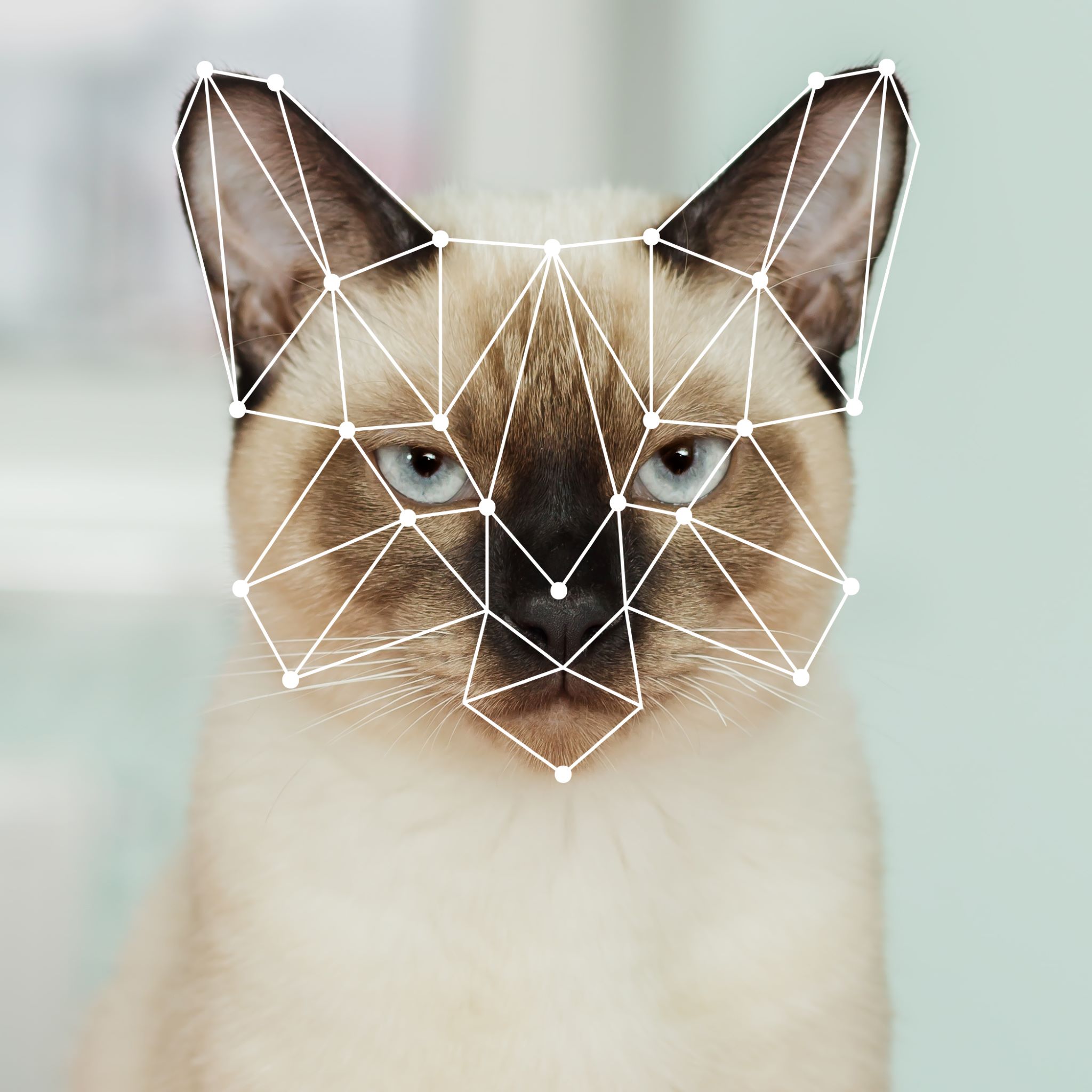Signicat joins Auth0 digital identity marketplace | THINK Digital ...