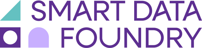 Smart Data Foundry | THINK Digital Partners : THINK Digital Partners